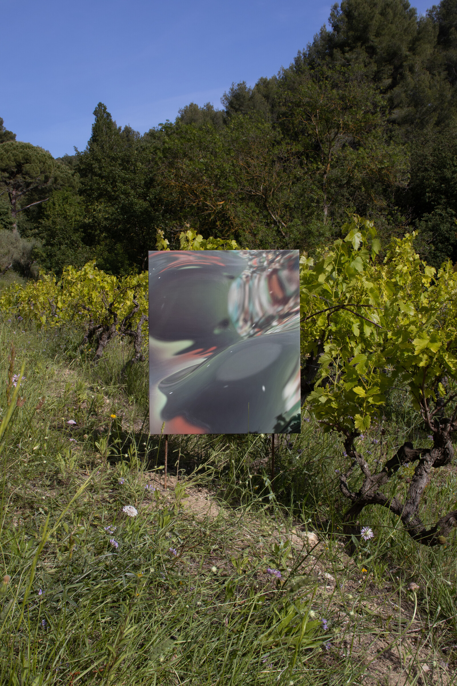 Perfect paintings | Ben Elliot